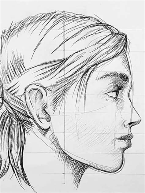 Side Profile Drawing - Origin Exchange